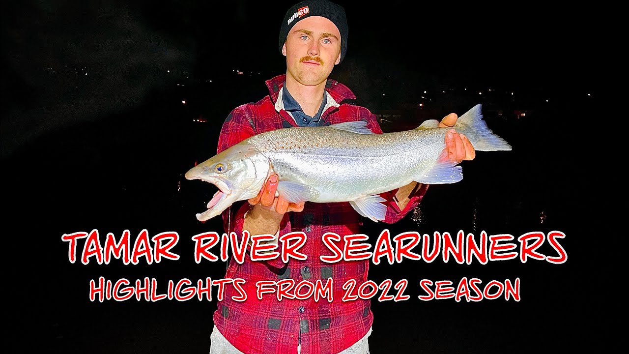 Tamar River Sea-Run Trout highlights from the 2022 Season #fishing #trout #troutfishing # ...