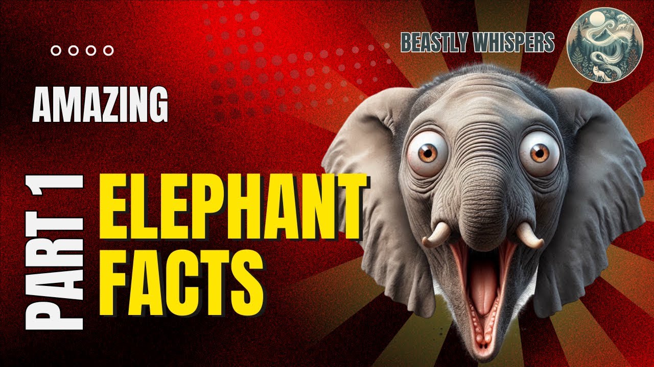 Elephant Facts (Part 1): Intelligence, Memory, Social Life & More by ...
