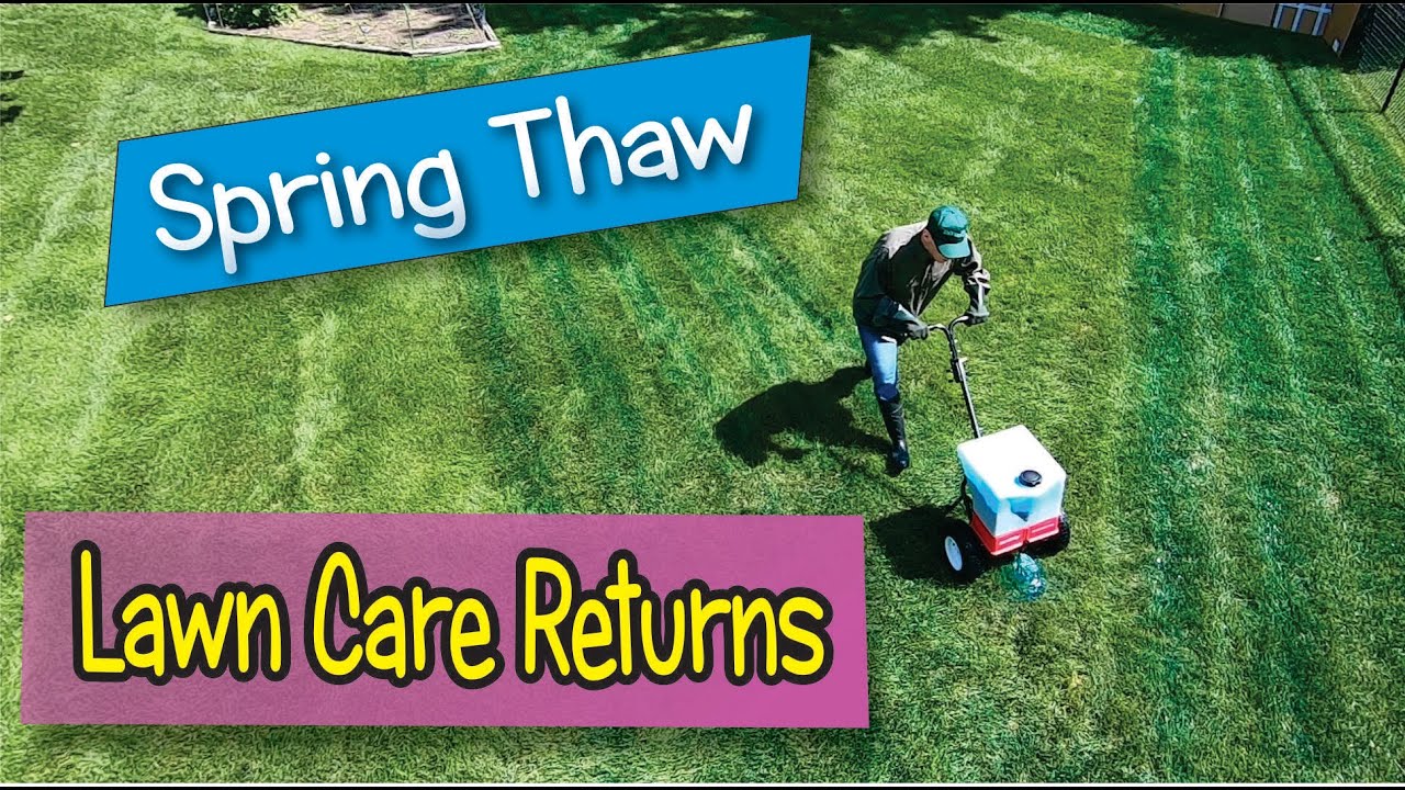 Spring Thaw Lawn Care Plans - YouTube