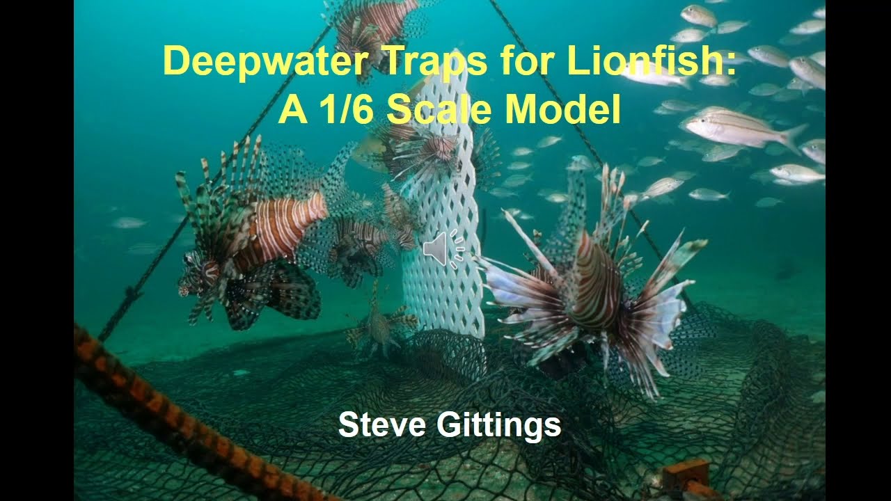 Gittings Lionfish Trap - YouTube
