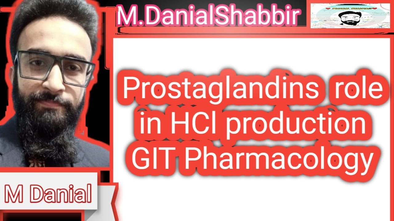 Prostaglandins role in HCl Production| GIT Pharmacology |M Danial Shabbir - YouTube