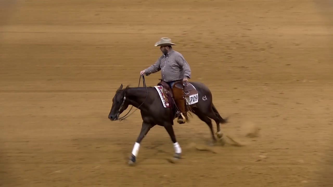 Reining Horses Sliding Appaloosa 2020 NRHA European Non Pro Futurity:
