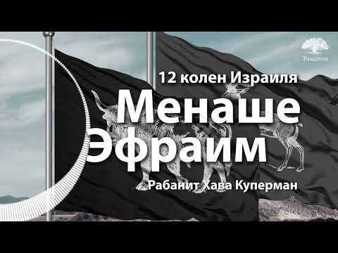 [6 часть] Колено Менаше и Эфраима. 12 колен Израиля. Рабанит Хава Куперман.