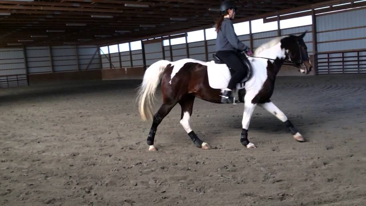 Furiosa Left Lead Canter November 2015 - YouTube