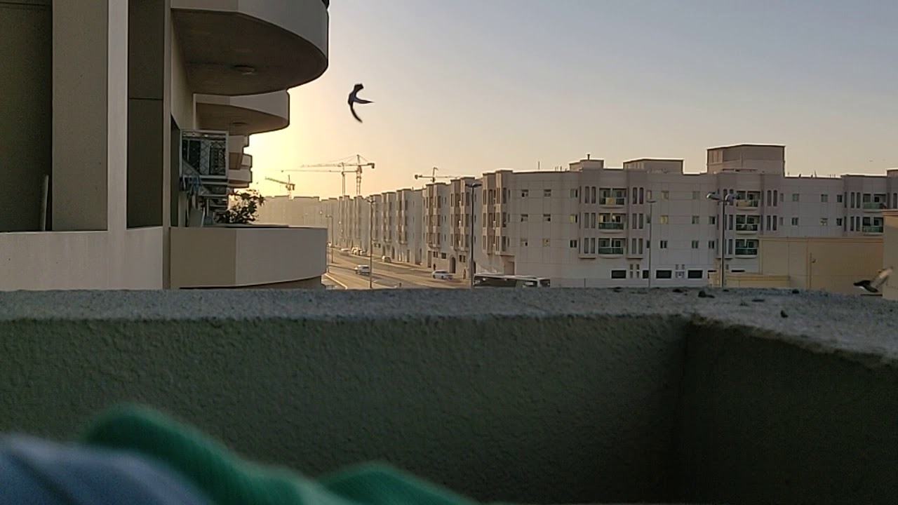 Solar Eclipse Dubai/M4 (Time Lapse) - YouTube
