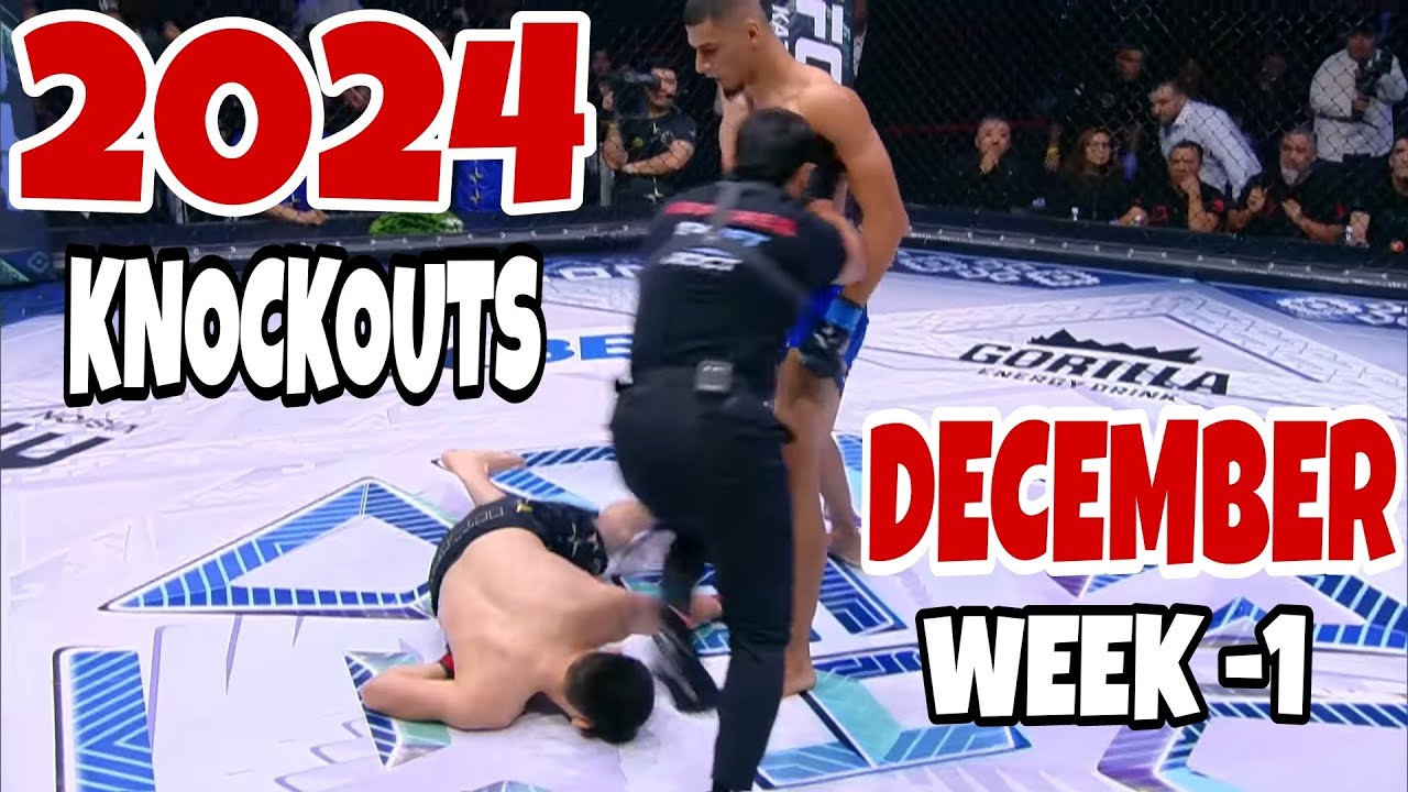 MMA & Boxing Knockouts I December 2024 Week 1 - YouTube