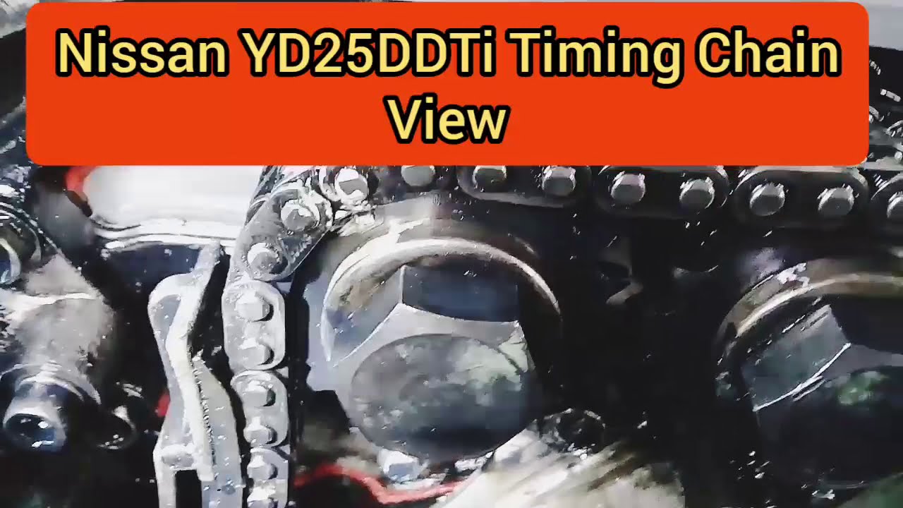 Timing Chain Nissan D40 YD25DDTi@DiYSpanner - YouTube