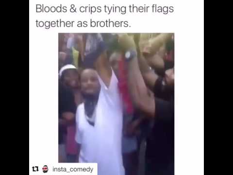 Bloods and crips Tying their flags together - YouTube