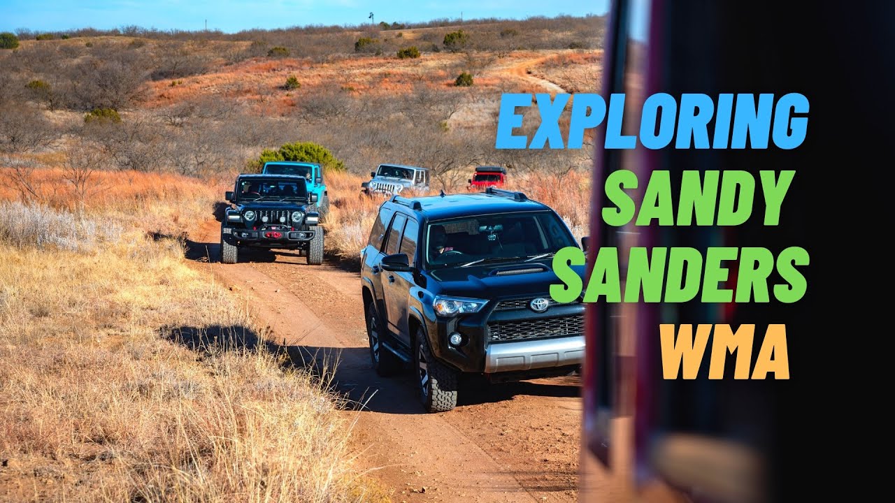 Jeep Day Trip: Exploring Sandy Sanders WMA - YouTube