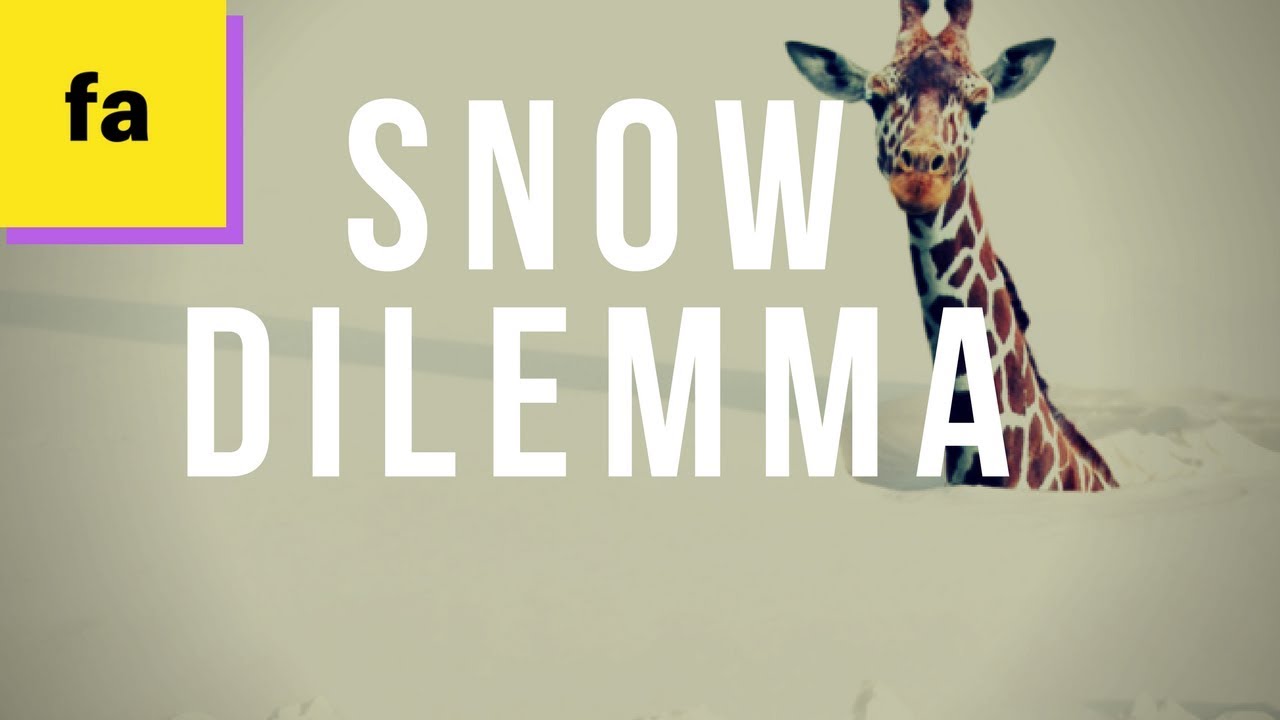 Why is snow important? - YouTube