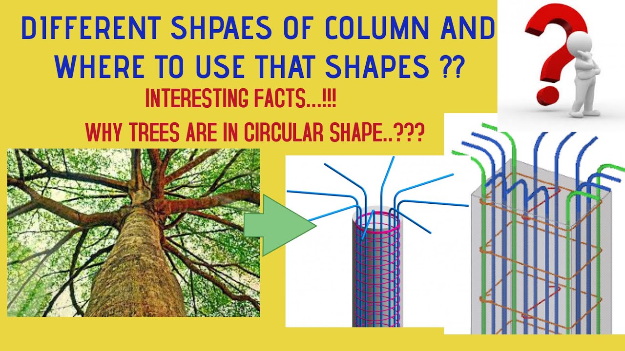 DIFFERENT SHAPES OF COLUMN| VARIOUS TYPES|SQUARE|CIRCULAR|RECTANGULAR ...
