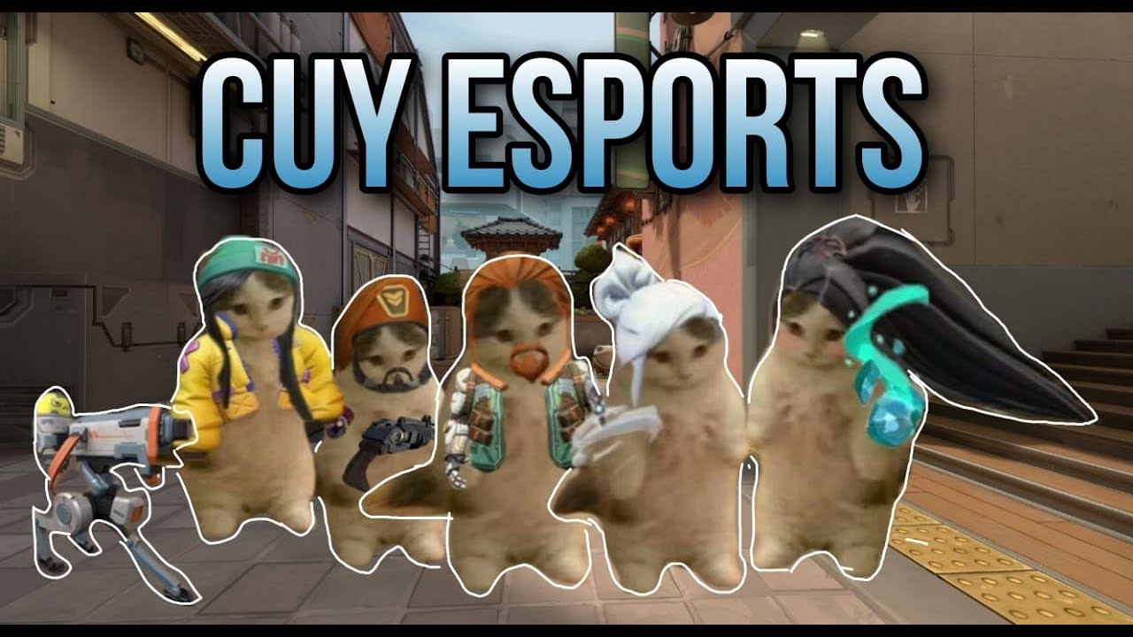 CUY ESPORTS vuelve a las canchas.💎 - YouTube