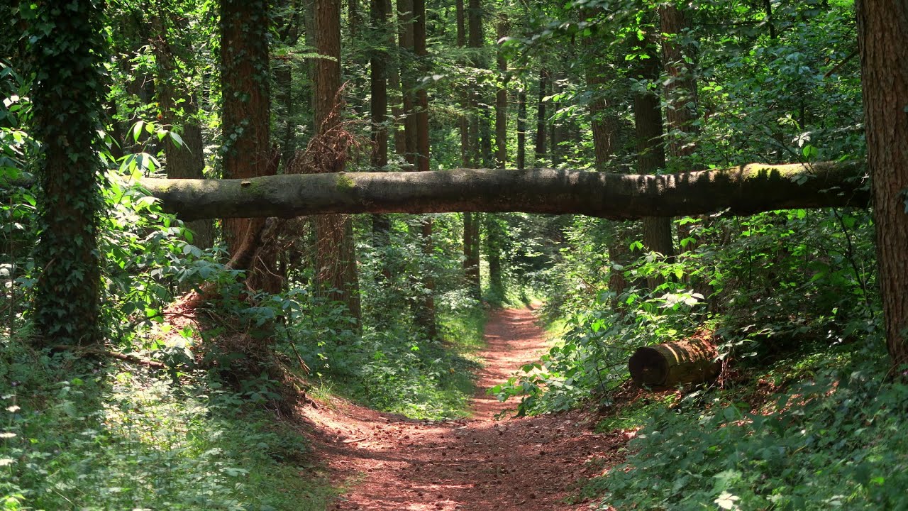 Tore in die Anderwelt | Die Billkuhle bei Berge - YouTube