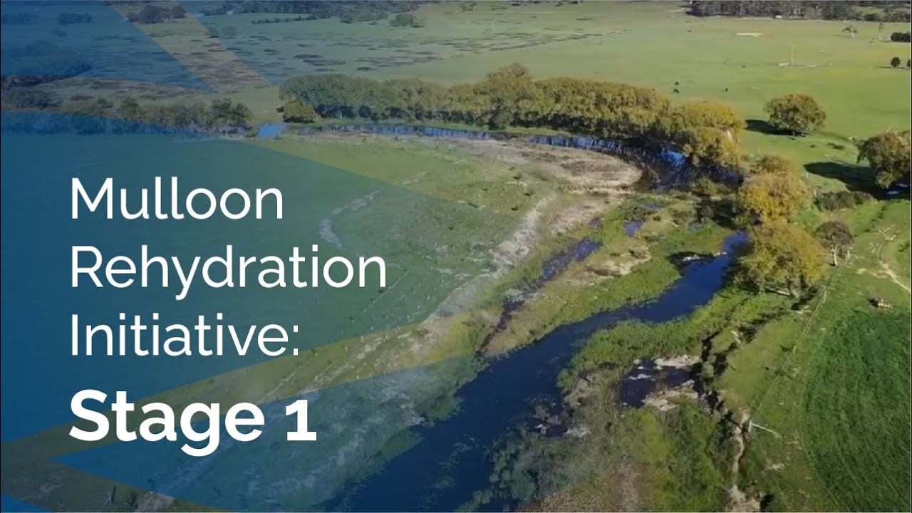 Mulloon Rehydration Initiative: Stage 1 - YouTube