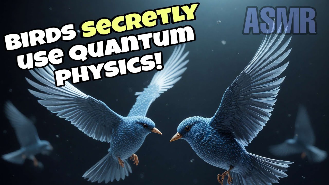The Quantum Symphony of Bird Navigation: How Avian Marvels Use the ...