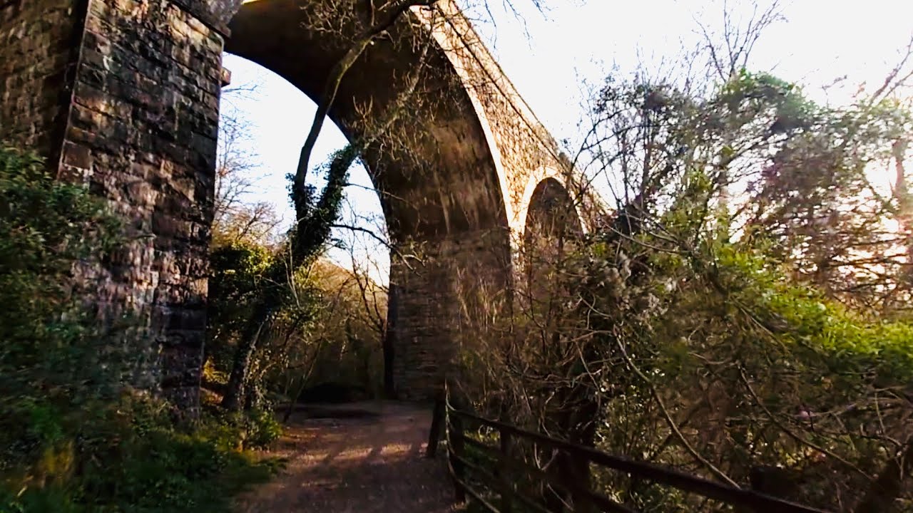 Longtimber Woods | A walk in the Countryside - YouTube
