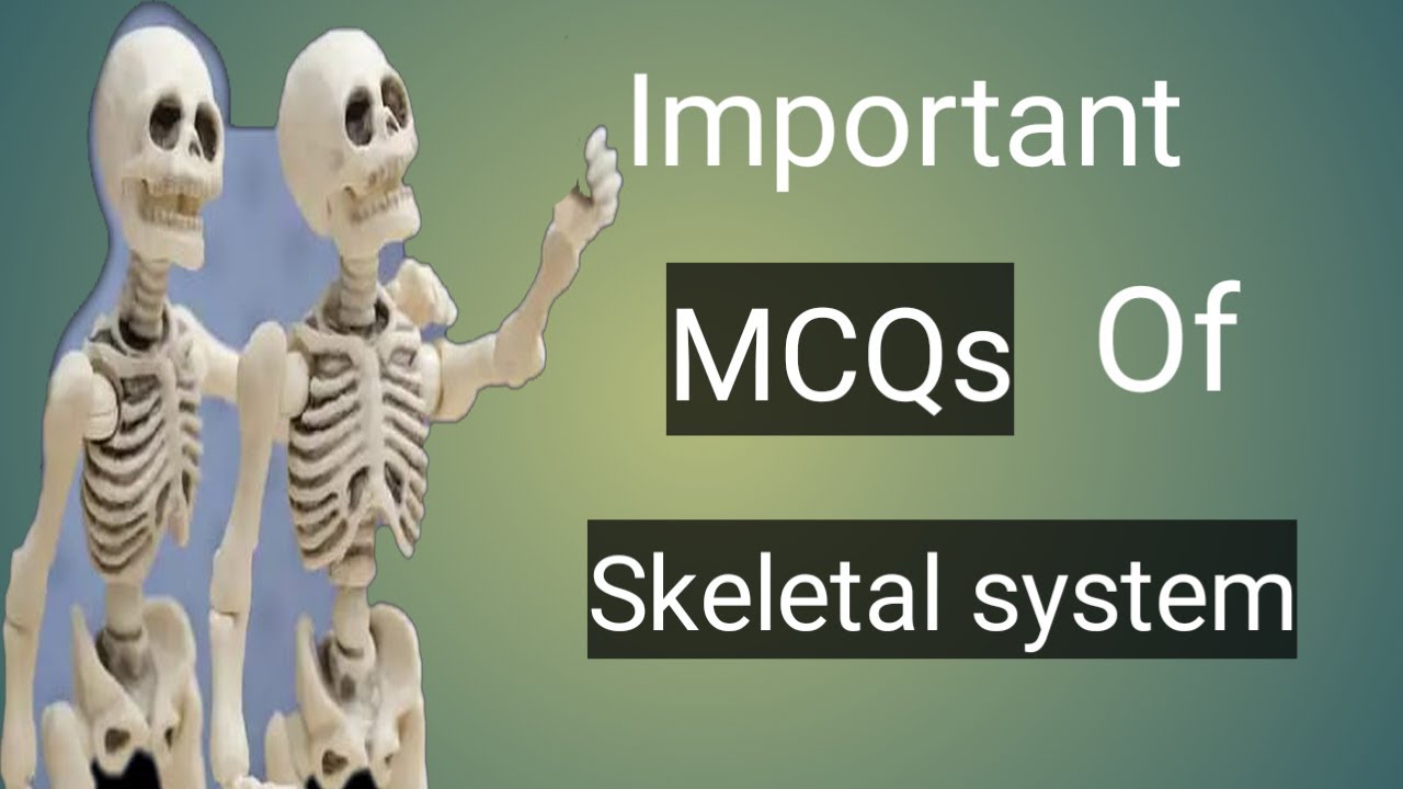 Important MCQS of skeletal System || All about Medical - YouTube