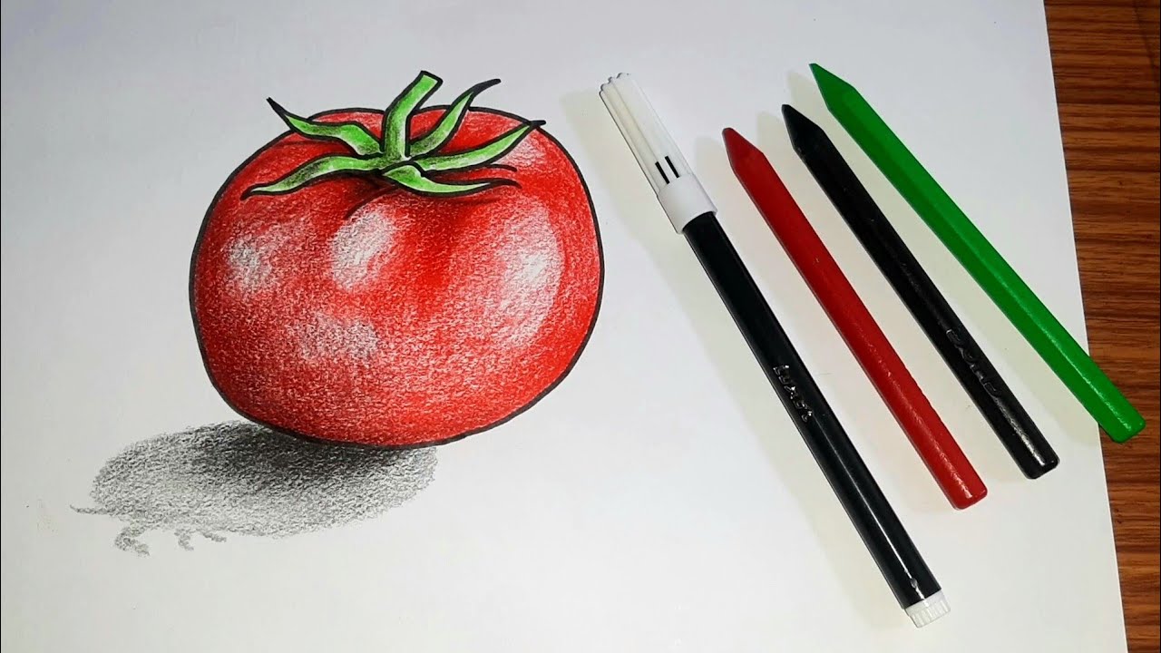 Tomato drawing real using sketch pen | Tomato drawing easy | টমেটো ...