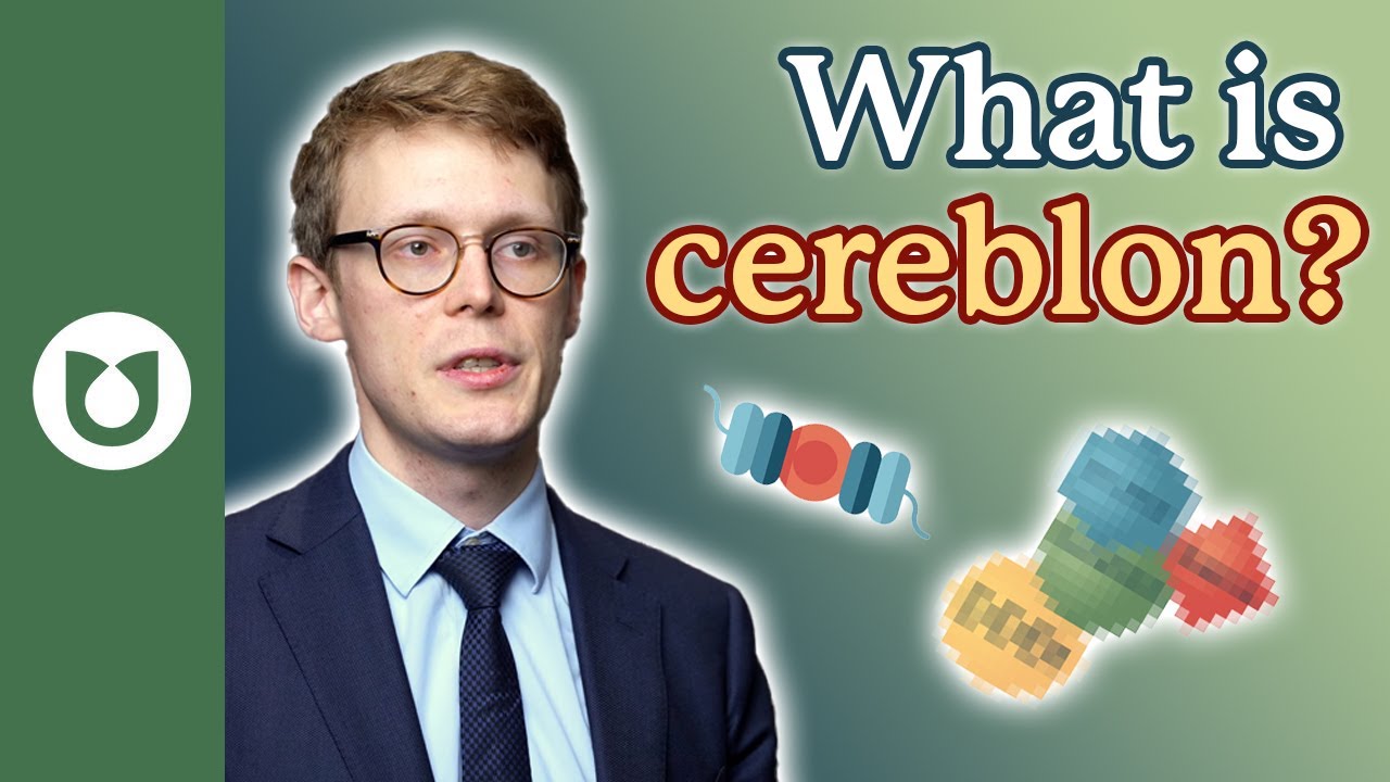 What is cereblon? #myeloma - YouTube