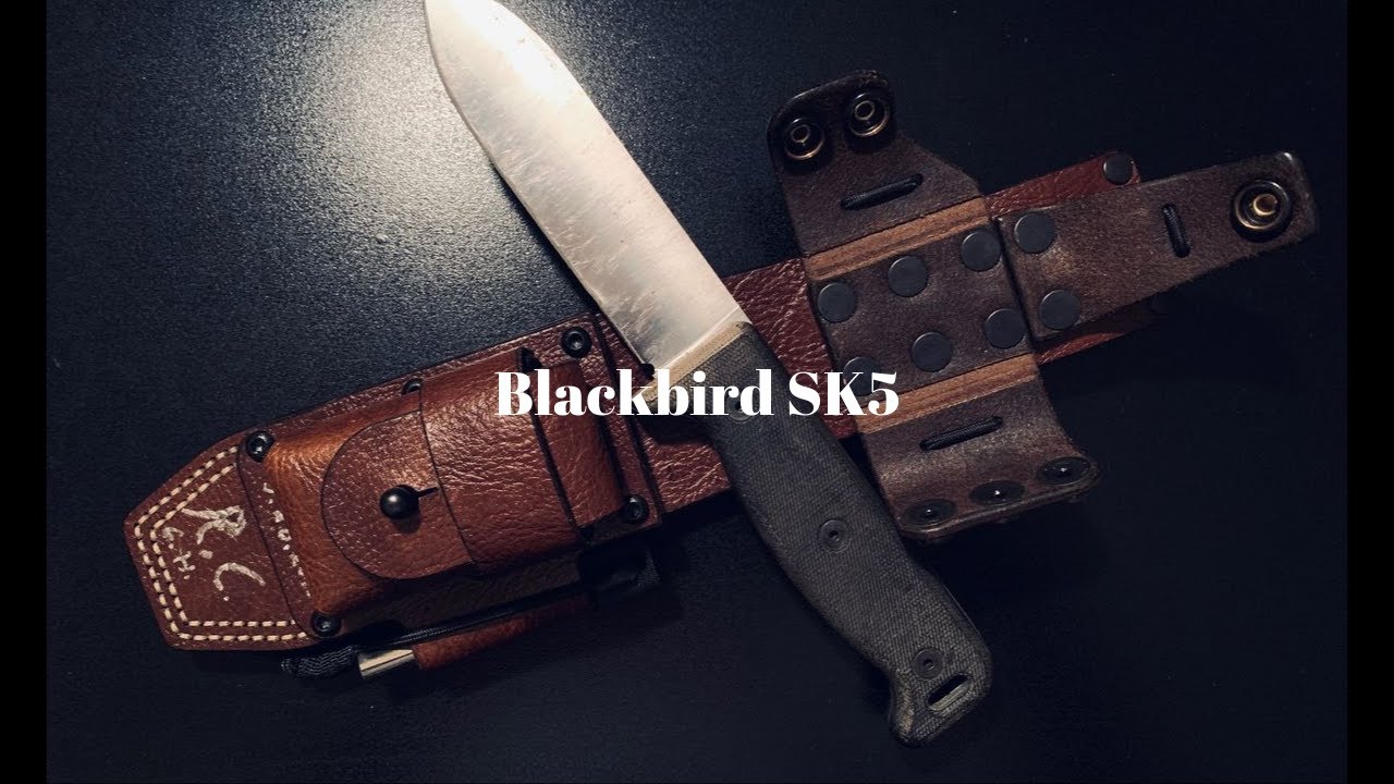 Blackbird SK5 Review/Updates - YouTube