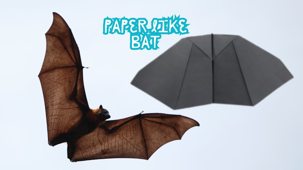 Origami Paper BAT Airplane/ Easy Bat Plane With Paper/Paper Plane That ...