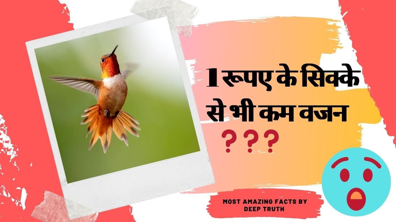 13 Amazing Facts By Deep Truth - YouTube