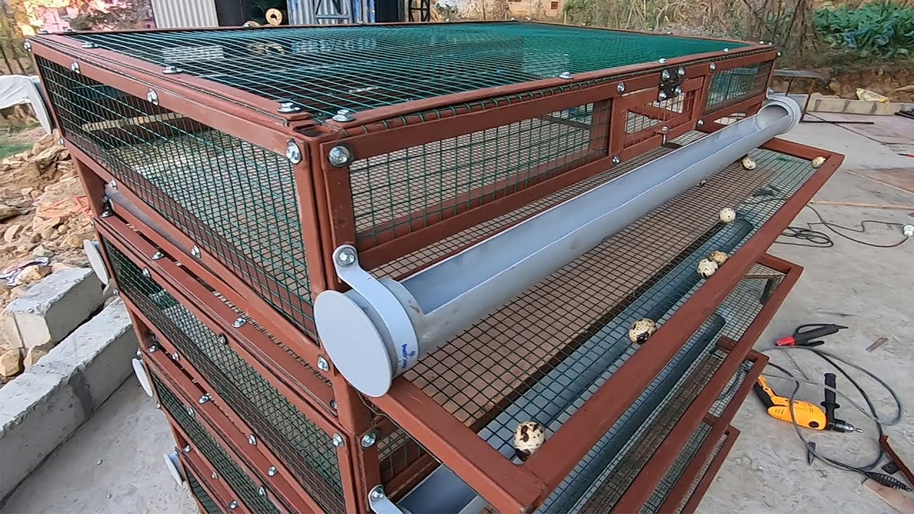 MODERN QUAIL BIRD CAGE/ बट्टाईको आधुनिक खोर/ Battai ko khor - YouTube