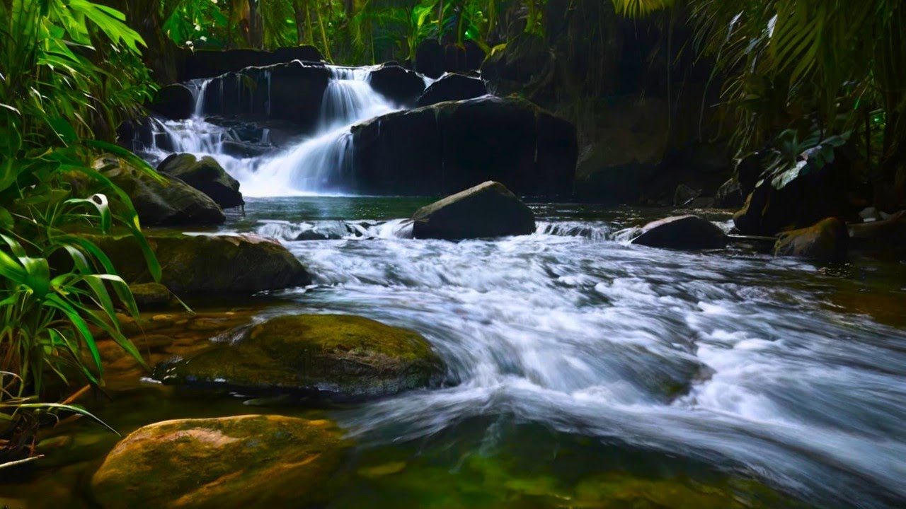 Waterfall Symphony - Melodic Dance of Birds and the Rustle of Water to ...