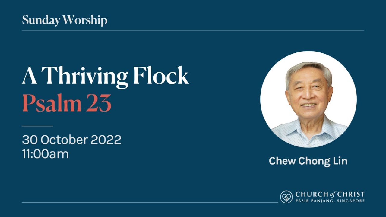 A Thriving Flock - Chew Chong Lin Psalm 23 - YouTube