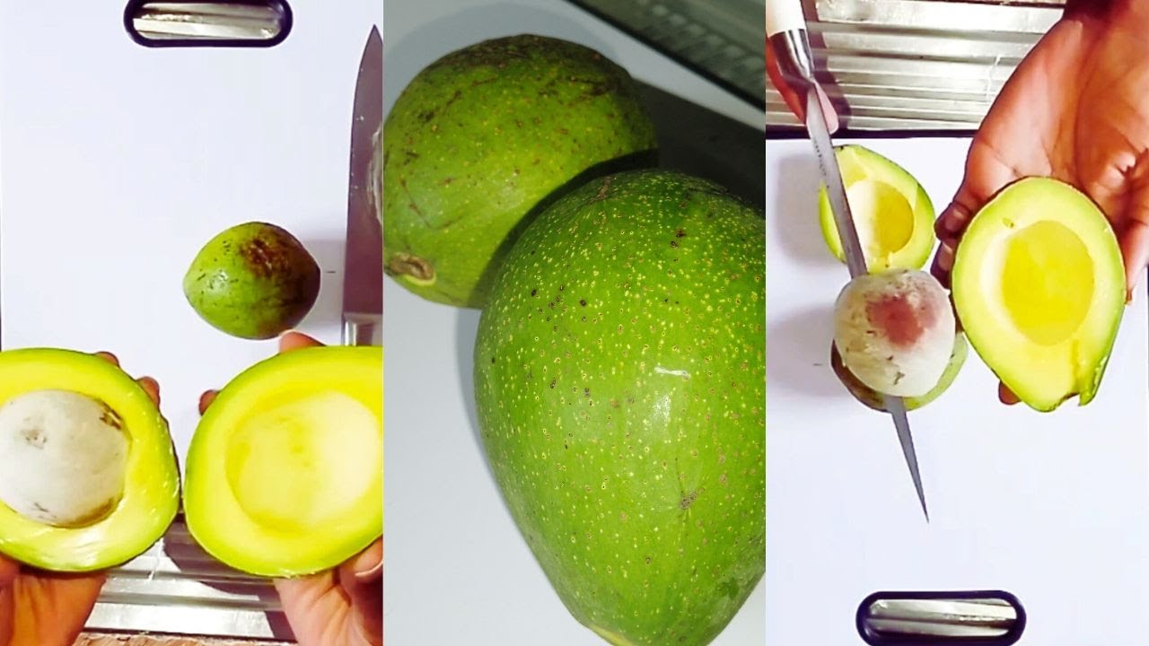 HOW TO SLICE AN AVOCADO, CREAMY AVOCADO ASMR - YouTube