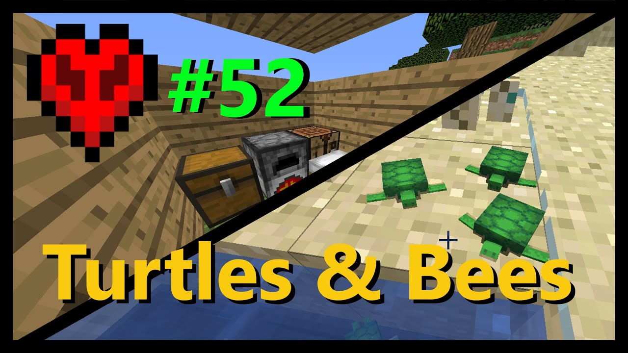 Hardcore #52 : Turtles & Bees! - YouTube