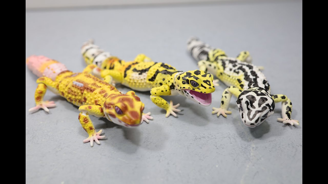 Leopard Gecko Action Figure ADVANCE Snow Bald Stripe Jungle Bell Albino ...