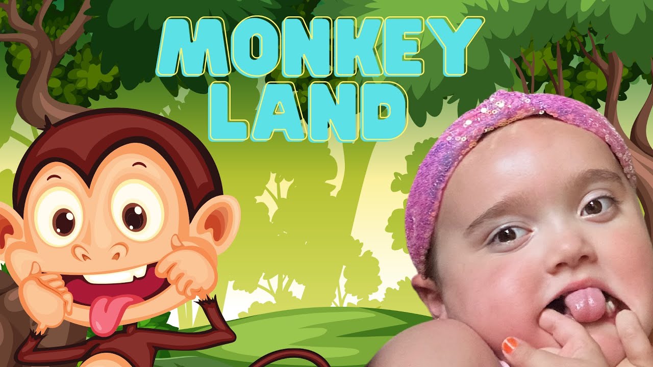 Monkey Land - YouTube