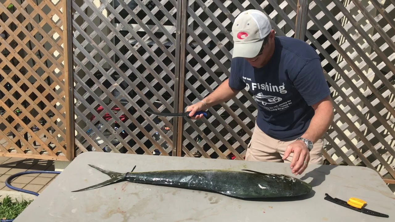 How to clean a Mahi-Mahi - YouTube