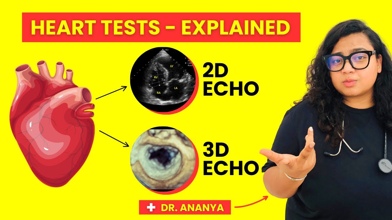 2D vs 3D Echo Test Explained - Heart Echo-cardiogram Tests - YouTube