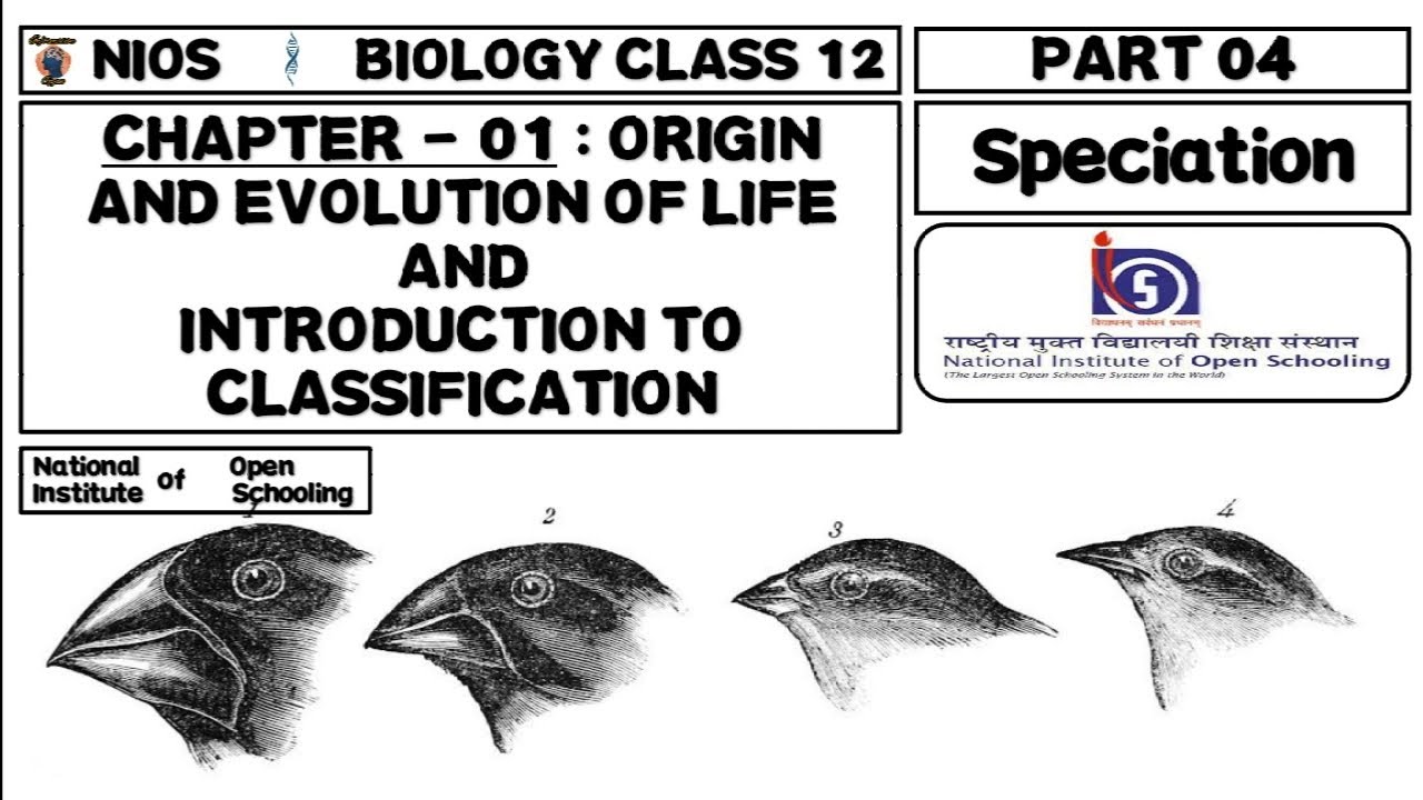 Speciation | Chapter-01 Class-12 | Part 04 | NIOS Biology | जीव विज्ञान | ‎@IG06 #niosbiology ...