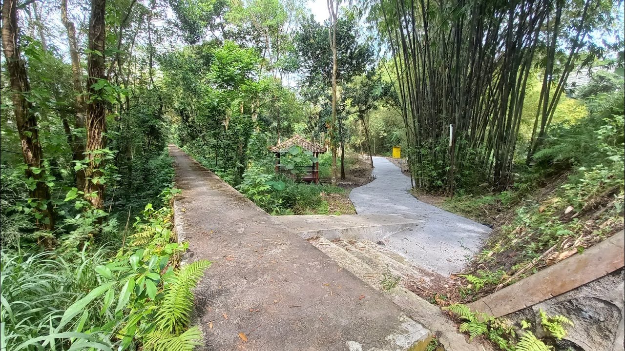 Padat Karya Pekan 2 - Green Kayen 2022 - YouTube