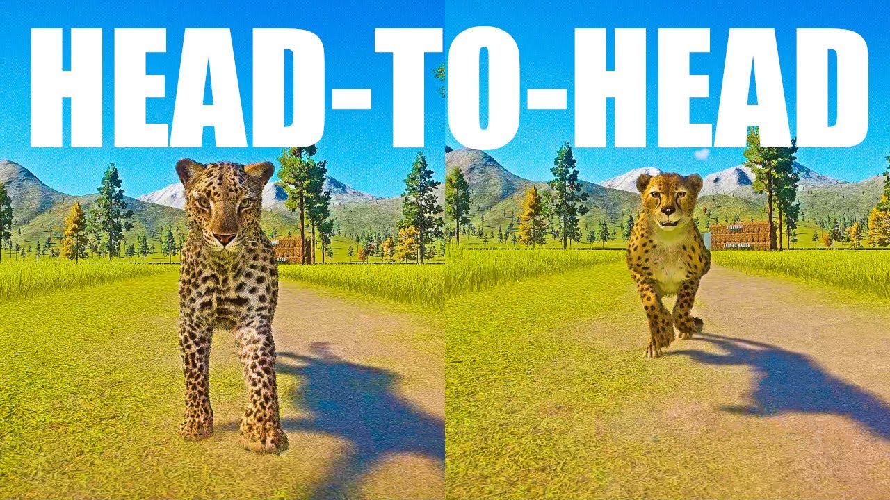 African Leopard vs Cheetah A Head to Head Speed Race in Planet Zoo ...