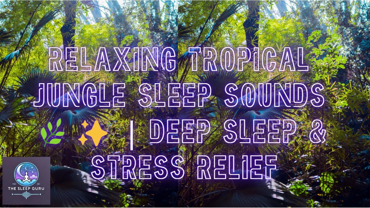 3 Hours of Tropical Jungle Sounds | Relaxing Rainforest Ambience for ...