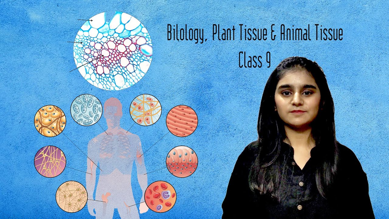 9th Class, Biology | Plant & animal Tissue, Part-1 - YouTube