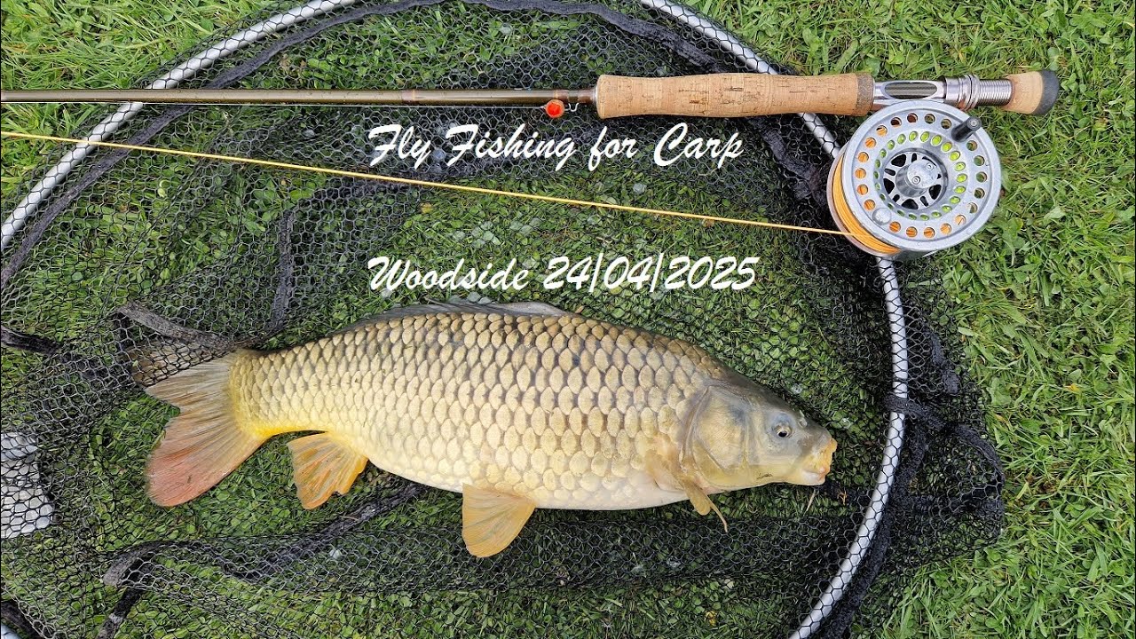 Fly Fishing for Carp - Woodside - 24/04/2025 - YouTube