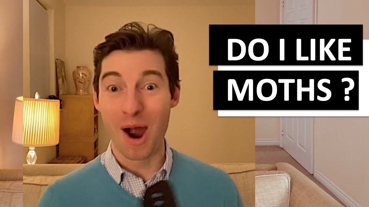 CATCH UP & FUNNY BITS - YouTube