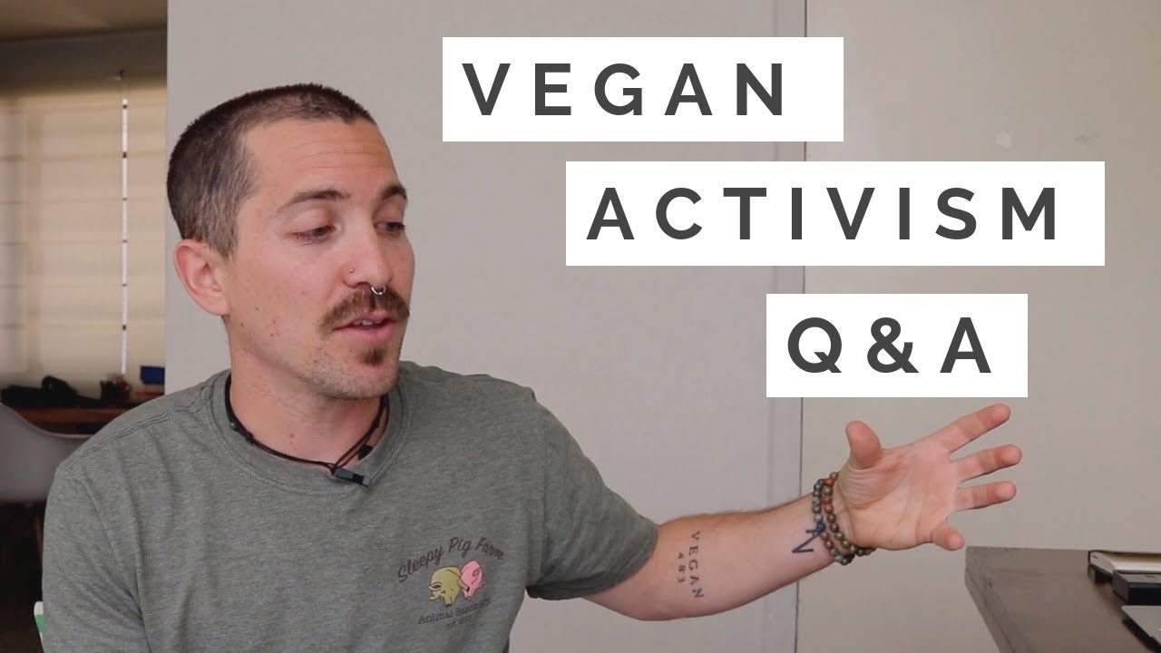 How to start & what to do | Vegan activism Q&A - YouTube