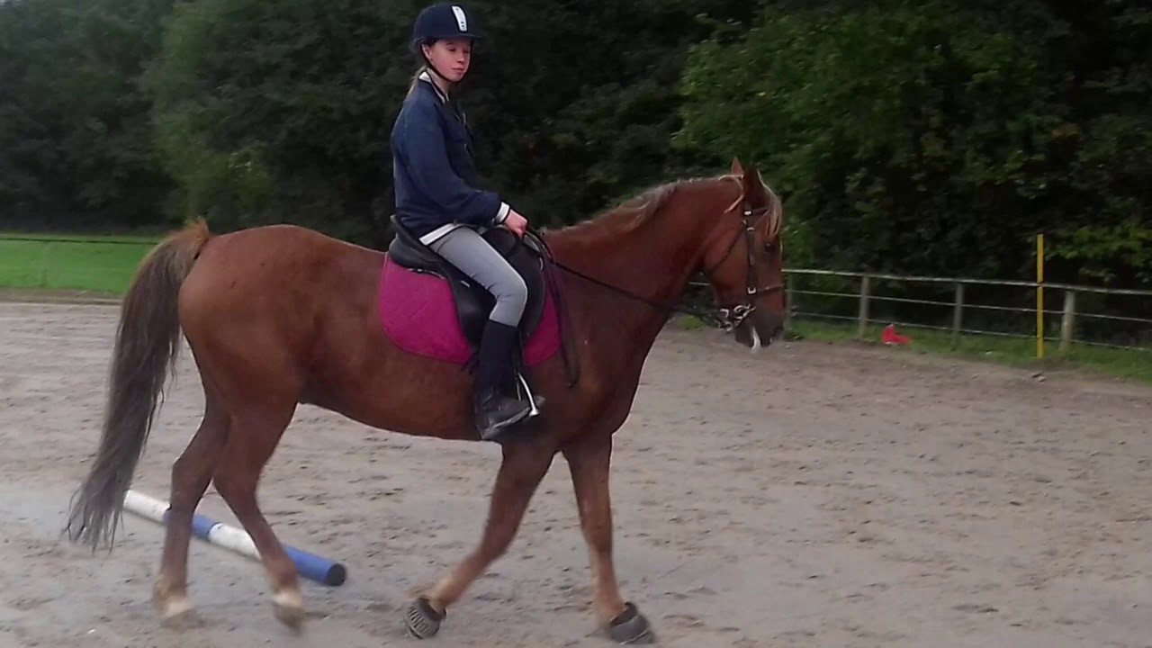 UN CAVALIER ET SON RÔLE ( AUDIO) - YouTube