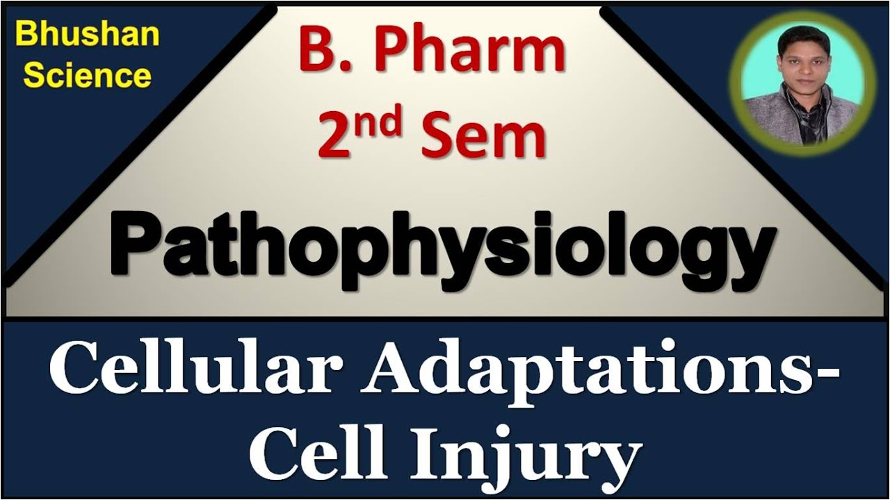 4. Cellular Adaptations Cell Injury | Pathophysiology | B. Pharm 2nd ...