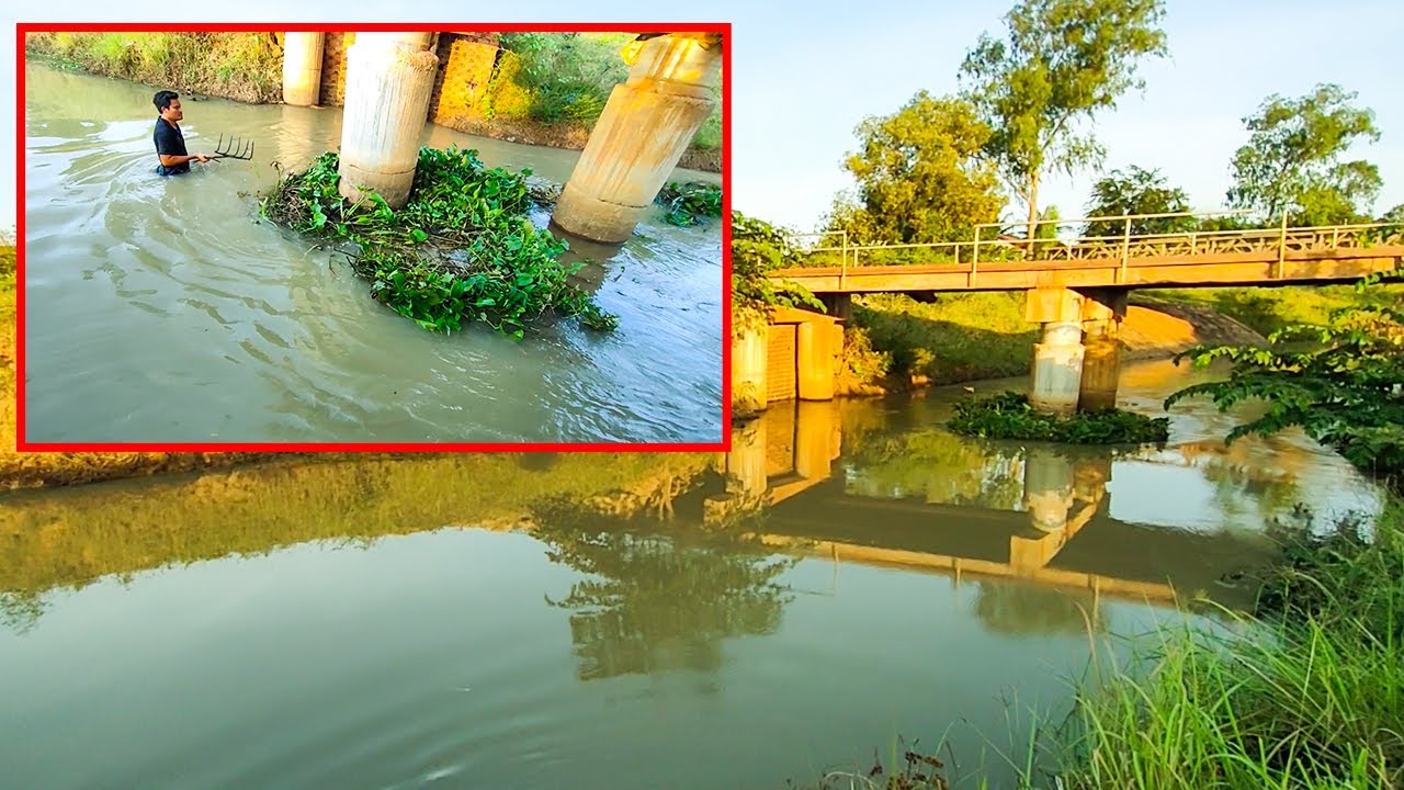 Removal Floating Weed Clogged Bridge Pillars - YouTube