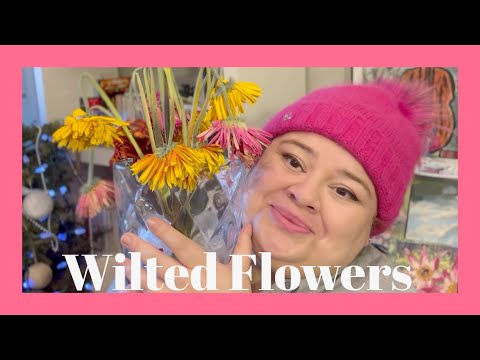 Winter Wilted Flowers Sketches Charcoal, Oil & Soft Pastels on Newsprint, Cold Press & Mi-Teintes