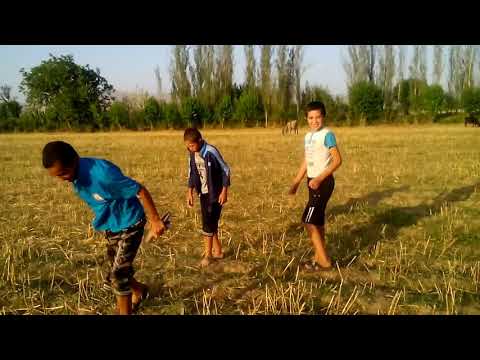 Shovkan bollari talpa