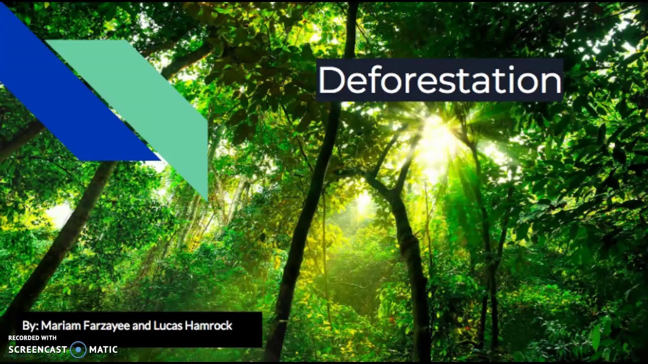 Deforestation PSA Slide #1 - YouTube