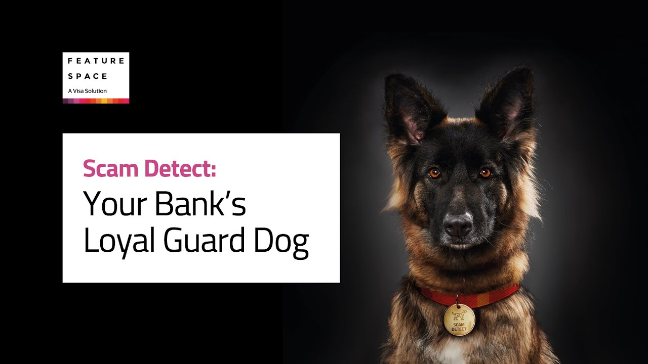 Scam Detect: Your Bank's Loyal Guard Dog - YouTube